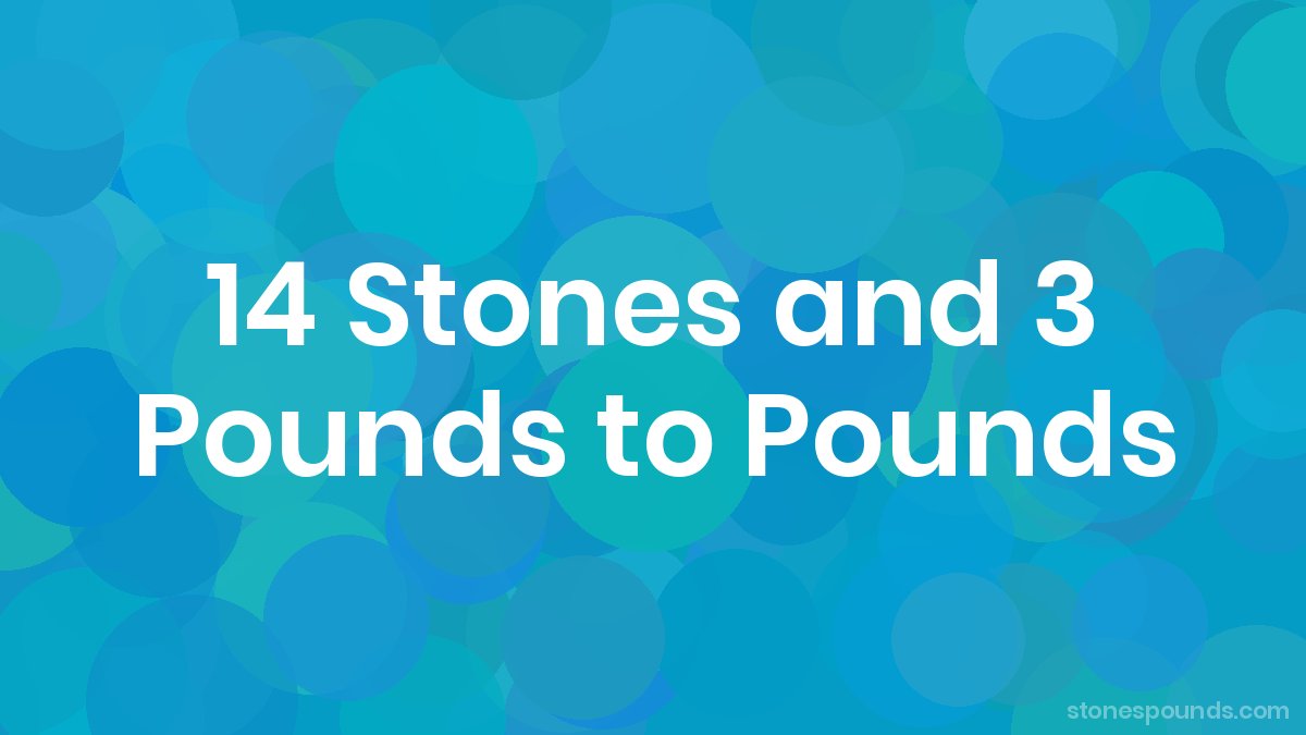 14 Stone 3 Lbs In Pounds 14st 3lb In Lbs 